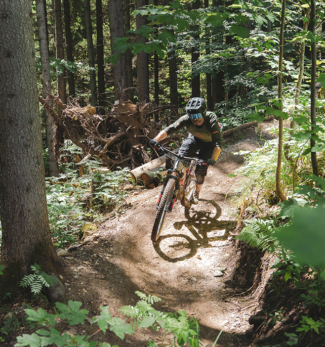 Der Alpina Radhelm Rootage Evo im Test | Bergzeit Magazin