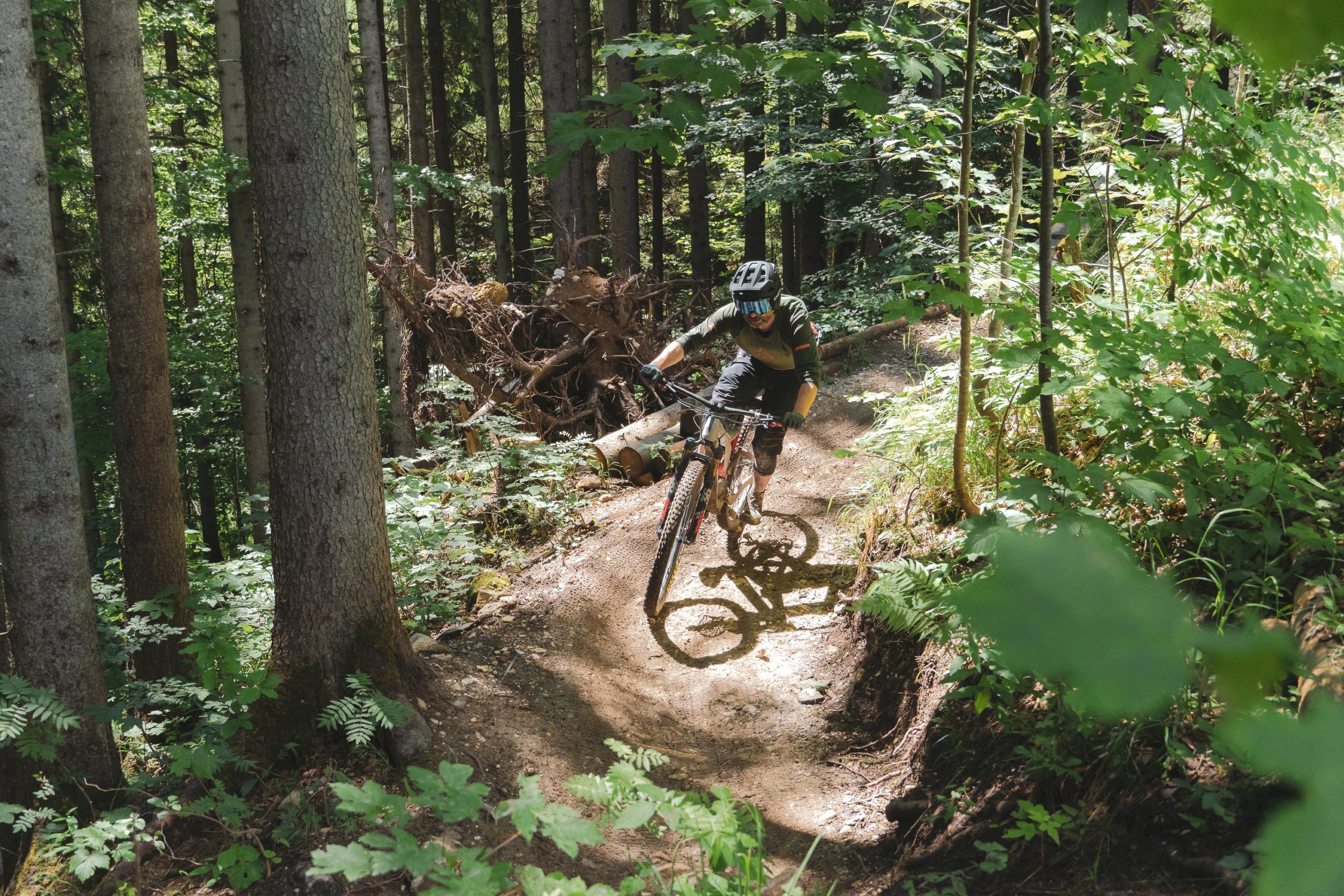 Der Alpina Radhelm Rootage Evo im Test | Bergzeit Magazin